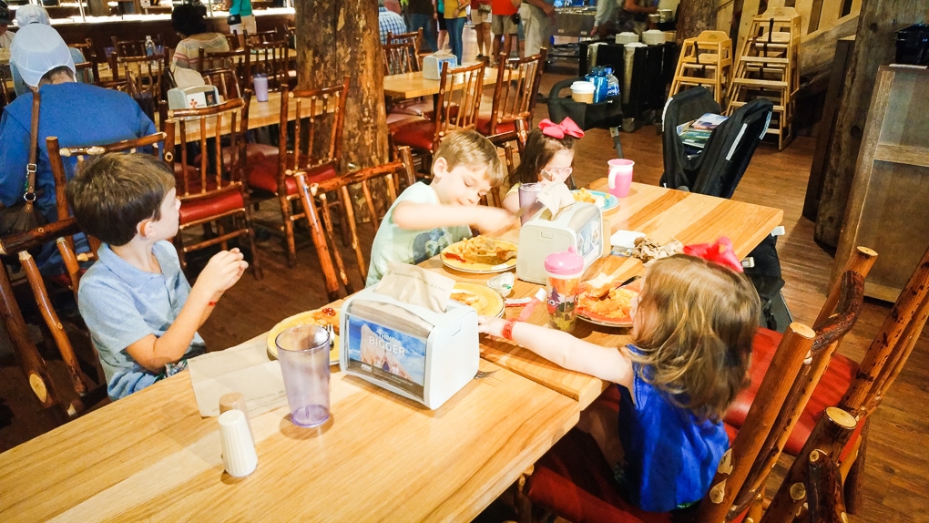 Our Family Field Trip to ARK Encounter and Creation Museum - This ...