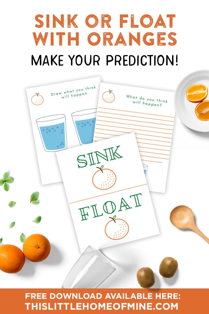 Sink or Float with Oranges - This Little Home of Mine