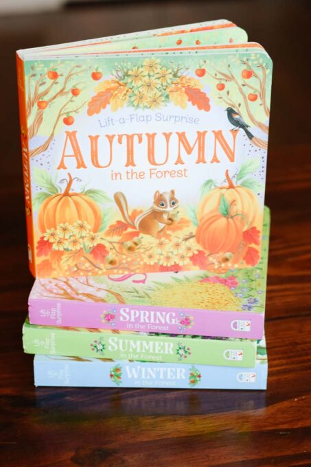 Four Seasons Books for Young Readers - This Little Home of Mine