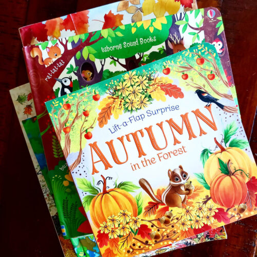 Seasonal Book Basket - This Little Home of Mine