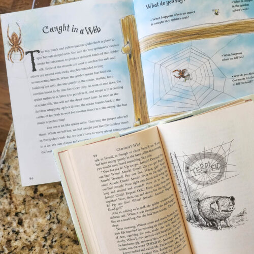 Low-Prep Charlotte's Web Activities - This Little Home of Mine