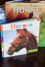Horse-Themed Books and Activities - This Little Home of Mine