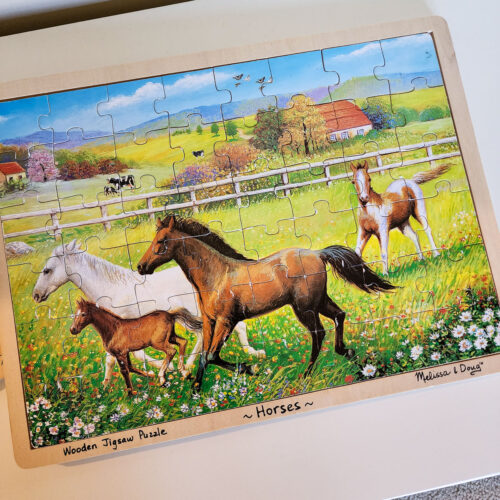 Horse-Themed Books and Activities - This Little Home of Mine