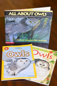 Bird Books and Activities for Kids - This Little Home of Mine