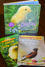 Bird Books and Activities for Kids - This Little Home of Mine