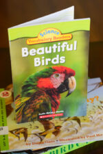 Bird Books and Activities for Kids - This Little Home of Mine