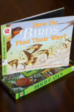 Bird Books and Activities for Kids - This Little Home of Mine