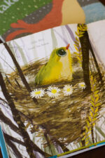 Bird Books and Activities for Kids - This Little Home of Mine